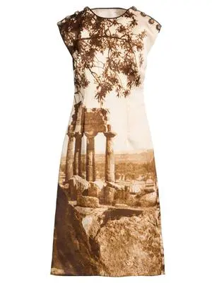 DOLCE & GABBANA Dolce & Gabbana Sleeveless Organza Dress With Embellished Neckline