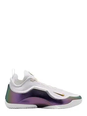 Nike NIKE LeBron 23 Elite EP "For The Record" White