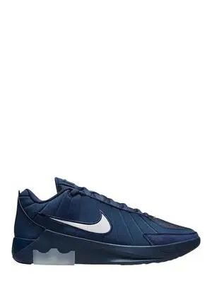 Nike Nike LeBron Witness 9 Sneakers Blue