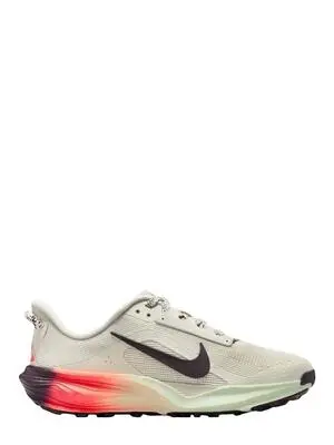 Nike Pegasus Trail Sneakers - Silver