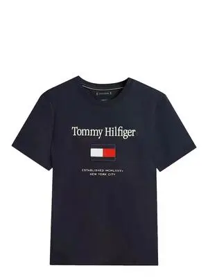 Tommy Hilfiger Logo-embroidered T-shirt - Blue