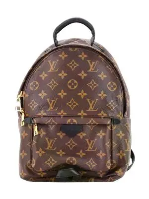 LOUIS VUITTON Palm Springs Monogram Canvas Pm Backpack - Brown