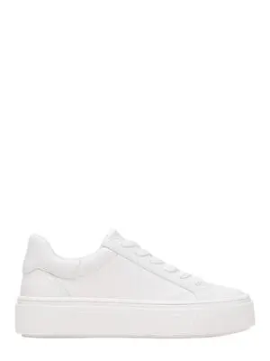 Steve Madden STEVE MADDEN Holli Platform Lace-Up Sneakers White