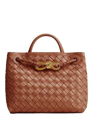 Bottega Veneta Andiamo Small Bag In Tannin Lambskin - Multicolor