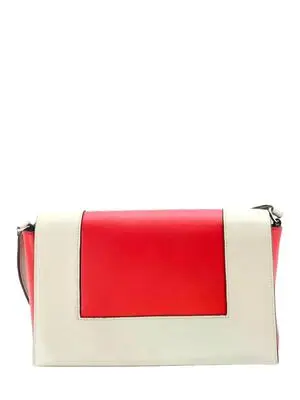 Celine Frame Leather Medium Shoulder Bag Green