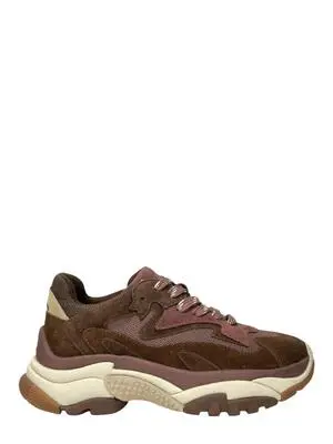 Ash Round-toe Sneakers - No