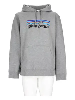 Patagonia Sweatshirt - Grey