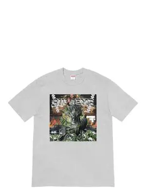 Supreme Dragon Graphic T-shirt - Grey