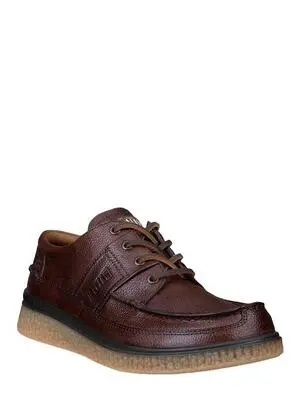 Ecco Walker 3.0 Plain Toe Derby - Camel