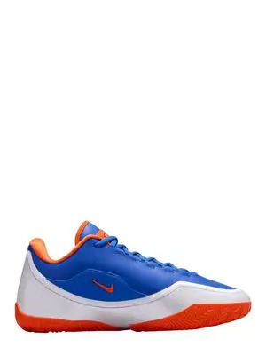 Nike Lebron 23 'hardwood Classics - Blue