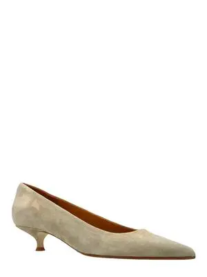 AeydĒ Cari Pointed-toe Suede Pumps Grey