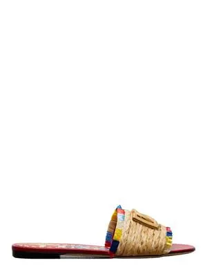 Dolce & Gabbana DG Slides Multicolor