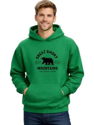 SIMPLY SAGE MARKET Vintage Great Smoky Mountains National Park Graphic Hoodie - Grass