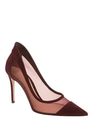 GIANVITO ROSSI Mesh Pointed Toe Pump - Royale