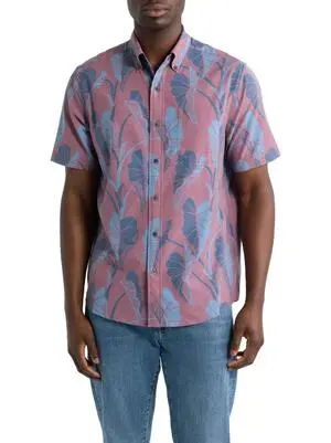 Reyn Spooner Trailing Taro Button Down Shirt - Berry