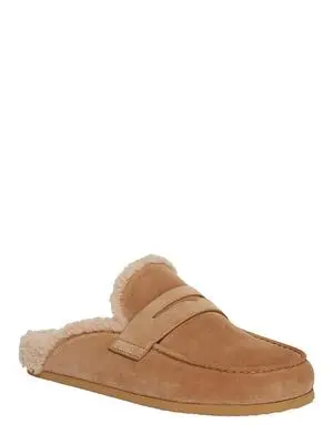 Paige Wynn Suede Shearling Lined Mules - Camel