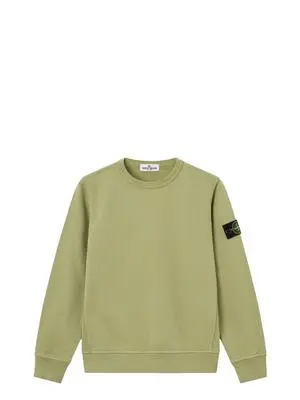 Stone Island Regular-fit Crewneck Sweatshirt With Ribbed Side Bands - Sage