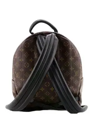 LOUIS VUITTON Palm Springs Monogram Canvas Mm Backpack - Brown