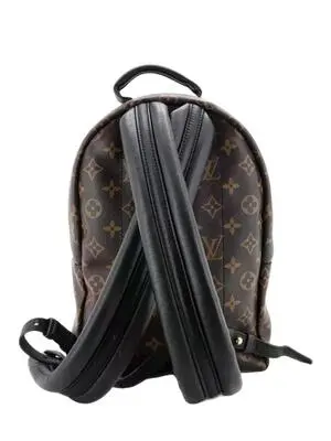 LOUIS VUITTON Palm Springs Monogram Canvas Pm Backpack - Brown