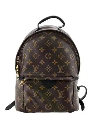 LOUIS VUITTON Palm Springs Monogram Canvas Pm Backpack - Brown
