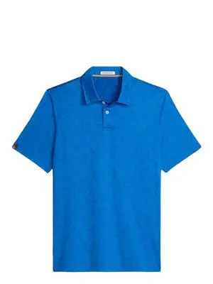 ASHWORTH GOLF Vine Polo - Sail