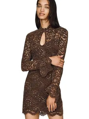 Walter Baker Keyhole Lace Mi Dress - Brown