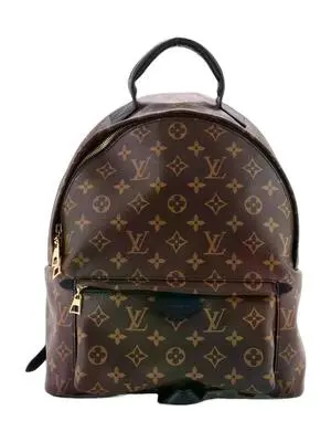 LOUIS VUITTON Palm Springs Monogram Canvas Mm Backpack - Brown