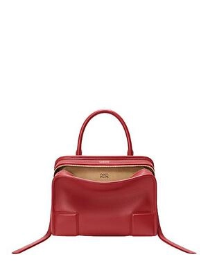 Loewe Amazona 180 Small Leather Handbag - Carmine Red