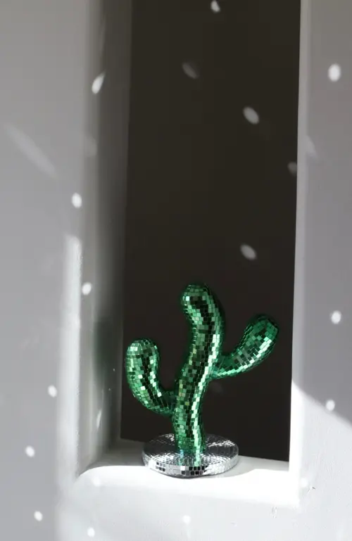SOFIEST DESIGNS Disco Cactus