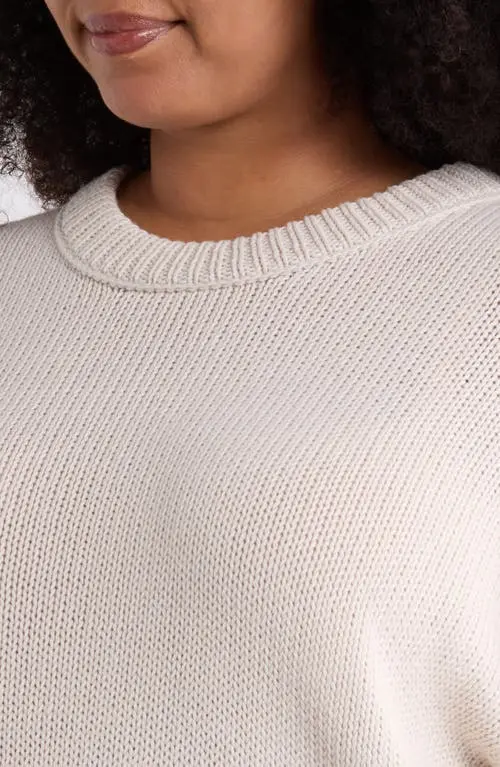 Eileen Fisher Crewneck Organic Cotton Sweater