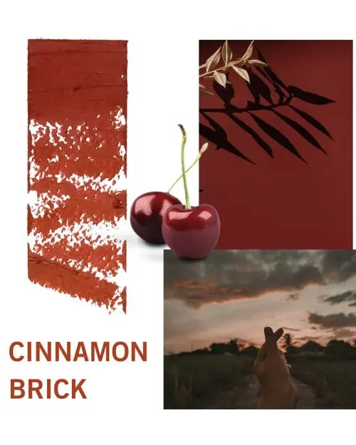 SIIA COSMETICS Change Agent Matte Lipstick - Cinnamon Brick