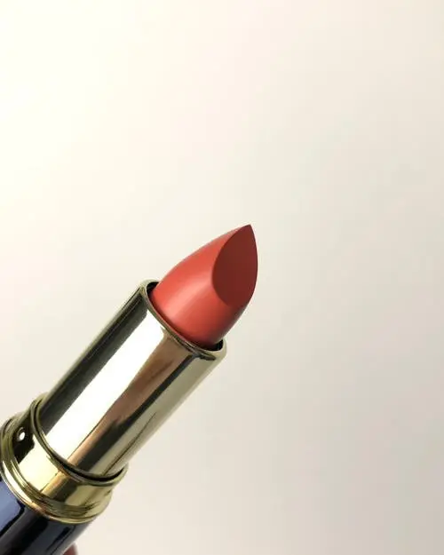 SIIA COSMETICS Change Agent Matte Lipstick - Cinnamon Brick