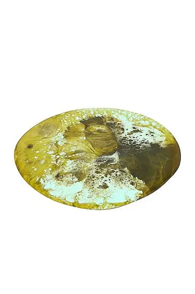 dinosaur designs - DINOSAUR DESIGNS Set Of 4 Boulder Coasters In Beauty: NA