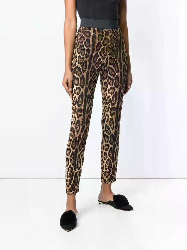 Dolce & Gabbana Leopard-print Cady Leggings