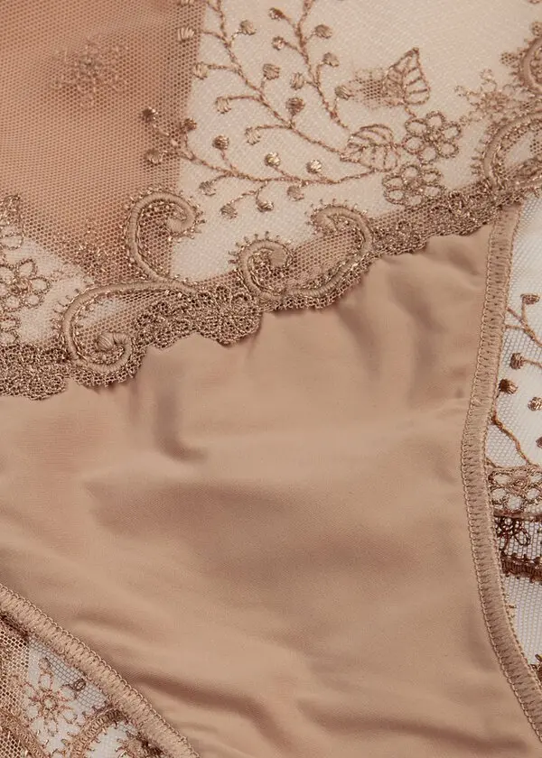 Simone Perele Delice Embroidered Tulle Briefs - Nude