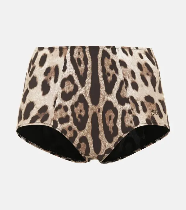 Dolce & Gabbana Leopard-print Bikini Bottom - Brown