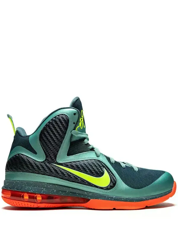 Nike Lebron Sneakers