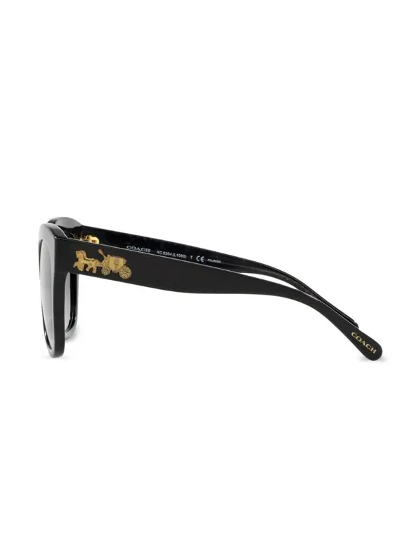 COACH Horse And Carriage Cat-eye Sunglasses