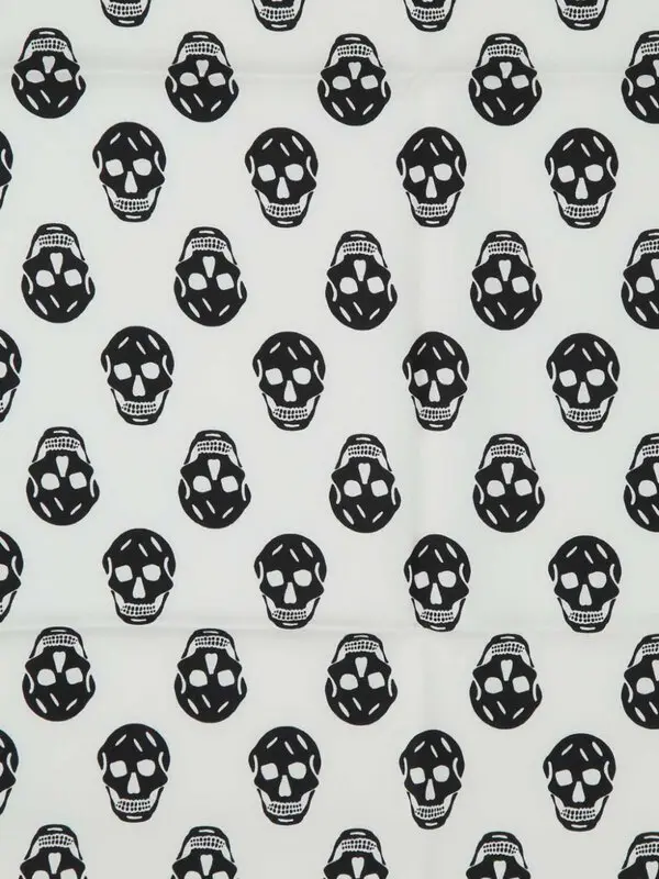 Alexander McQueen Skull-print Silk Scarf
