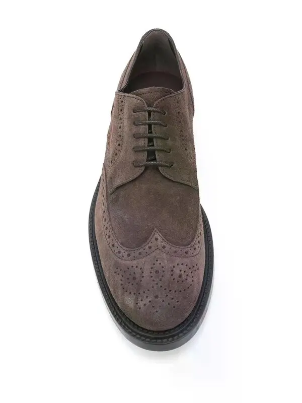 TOD'S Suede Brogues