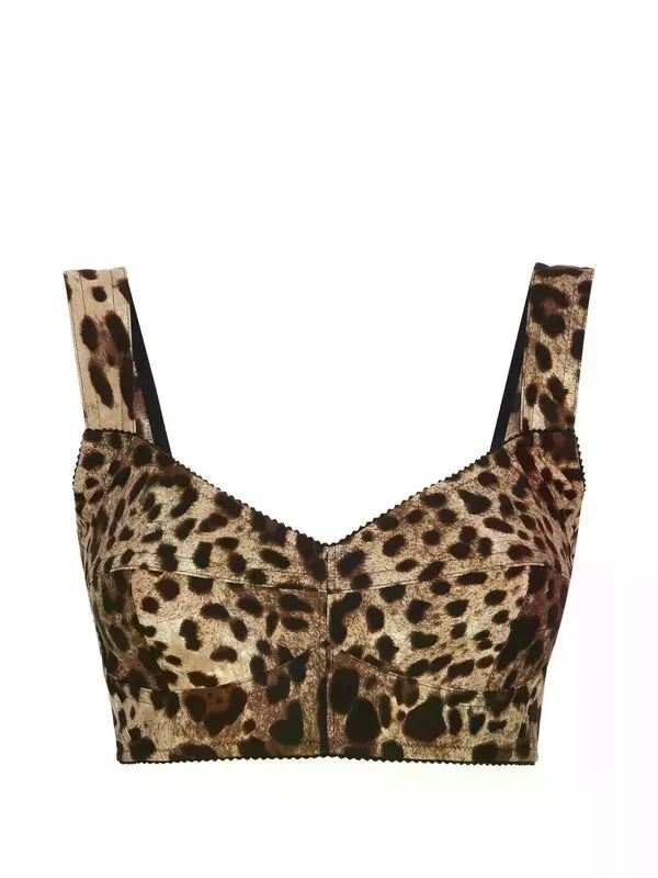 Dolce & Gabbana Leopard-print Bustier Top - Brown