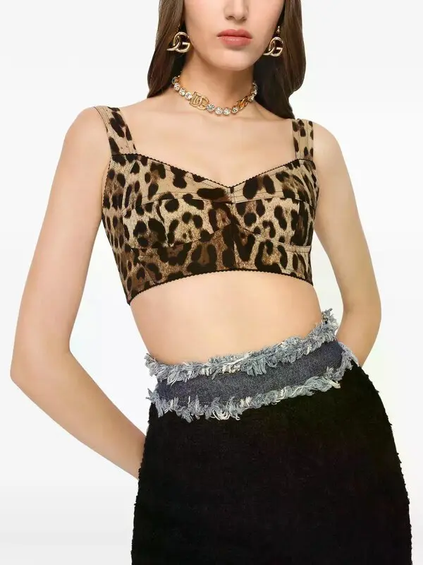 Dolce & Gabbana Leopard-print Bustier Top - Brown