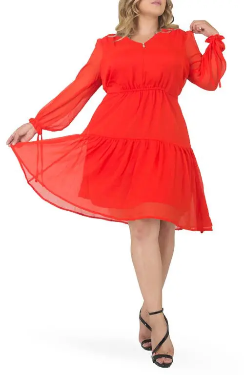 STANDARDS & PRACTICES Prairie Chiffon Long Sleeve Dress - Tigerlily