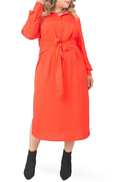 STANDARDS & PRACTICES Tie Waist Printed Midi Dress - Cherry