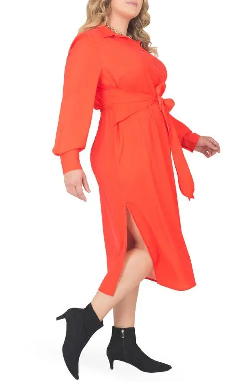 STANDARDS & PRACTICES Tie Waist Printed Midi Dress