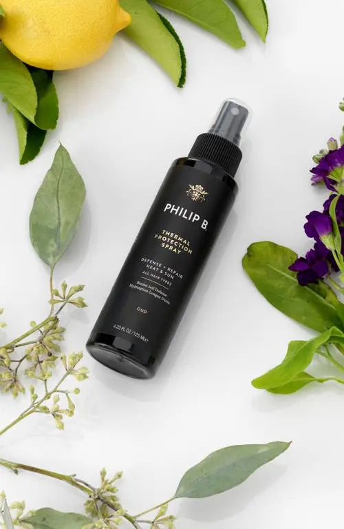 PHILIP B Thermal Protection Spray