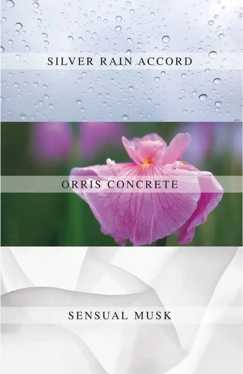 ALLSAINTS Concrete Rain Eau De Parfum
