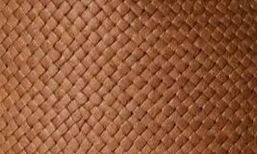 Janessa Leoné Sherman Packable Fedora - Brown