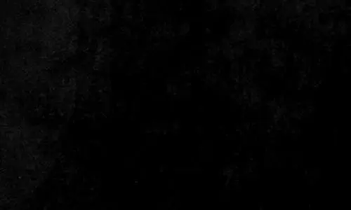 STANDARDS & PRACTICES Luna Velvet Wrap Dress - Black