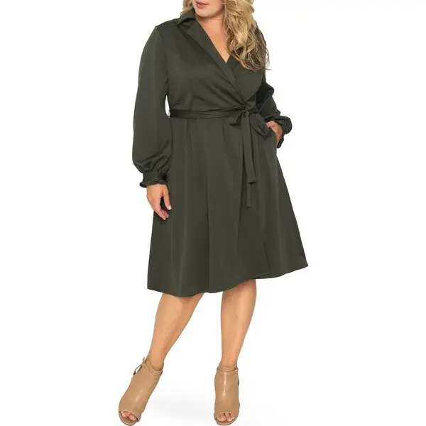 STANDARDS & PRACTICES Utility Shirtdress